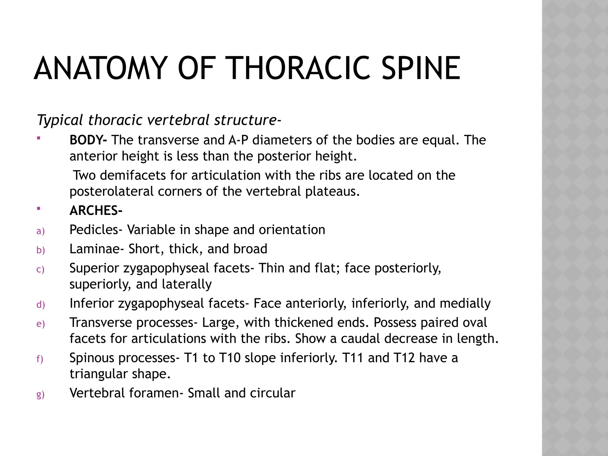 BIOMECHANICS OF THE THORACIC SPINE . pptx | PPTX
