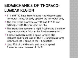 BIOMECHANICS OF THE THORACIC SPINE . pptx | PPTX | Death, Injury, or ...