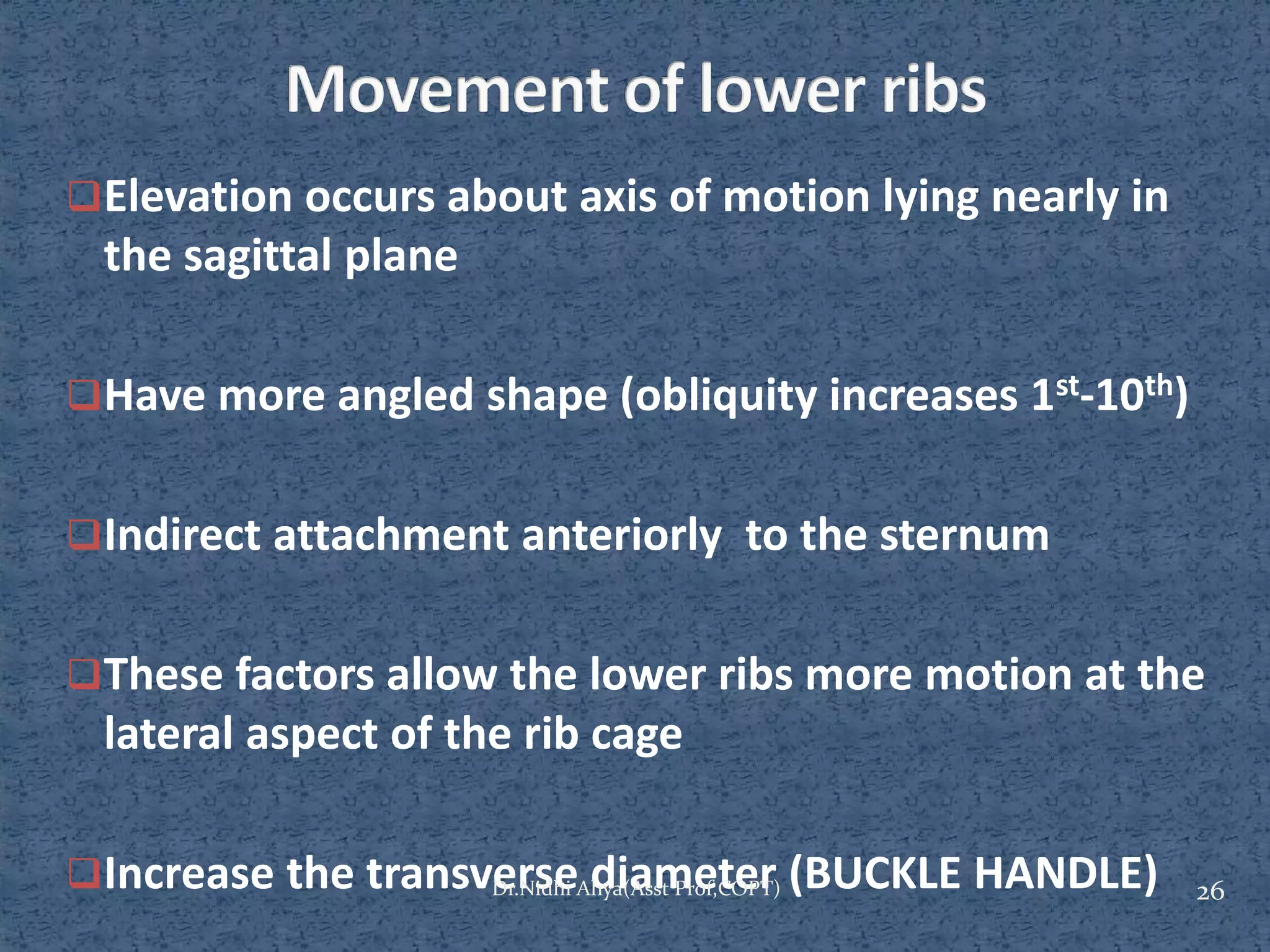 Biomechanics of thorax | PPTX