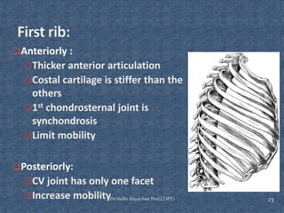 Biomechanics of thorax | PPTX