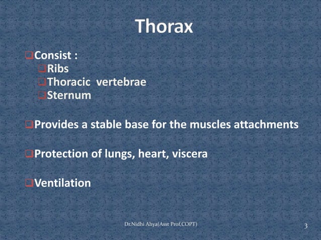 Biomechanics of thorax | PPTX | Death, Injury, or Military Conflict ...