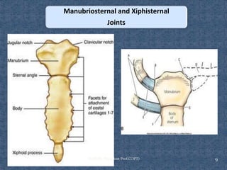 Biomechanics of thorax | PPTX