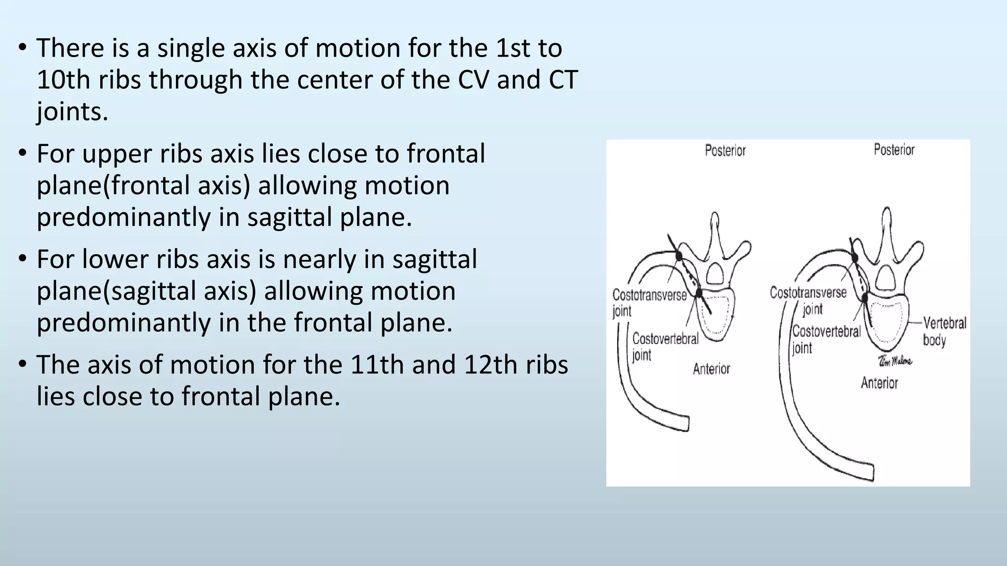 Biomechanics of thorax | PPTX