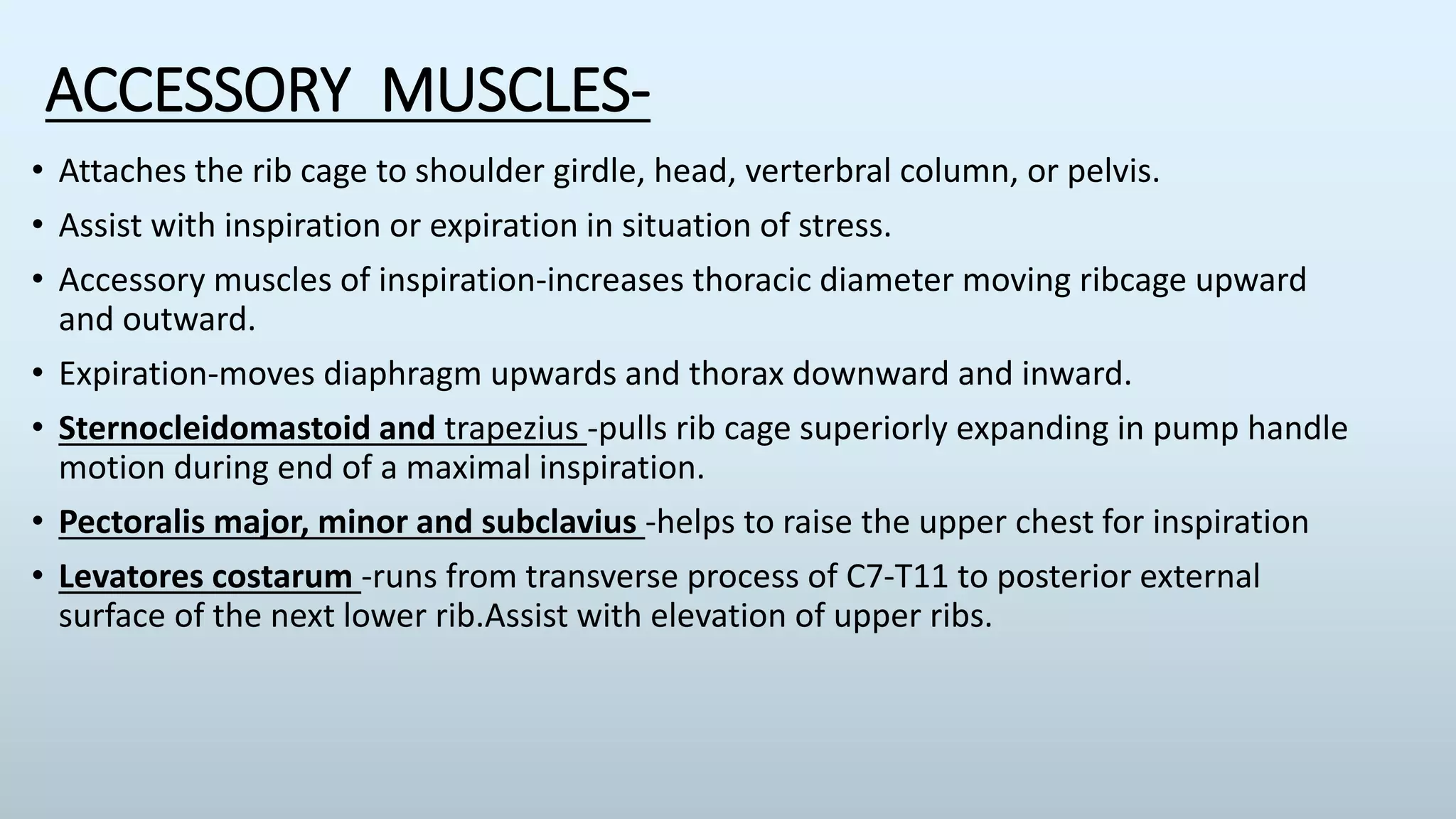 Biomechanics of thorax | PPTX