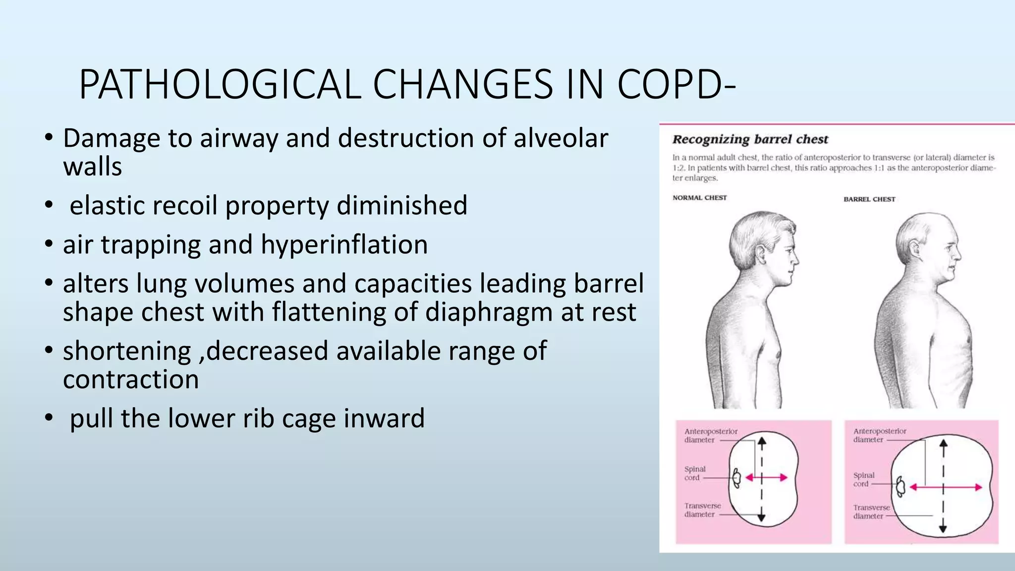 Biomechanics of thorax | PPTX