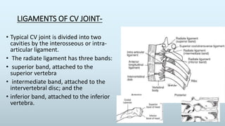 Biomechanics of thorax | PPTX