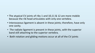 Biomechanics of thorax | PPTX