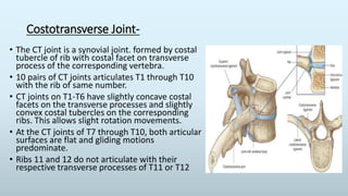 Biomechanics of thorax | PPTX