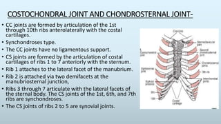 Biomechanics of thorax | PPTX