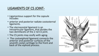 Biomechanics of thorax | PPTX