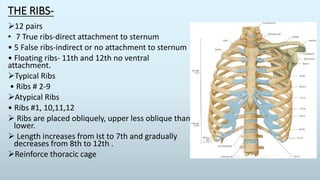Biomechanics of thorax | PPTX