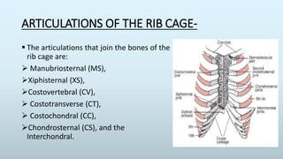 Biomechanics of thorax | PPTX