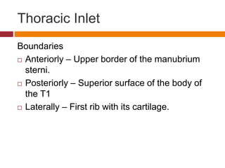 Biomechanics of Thorax.pptx