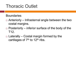 Biomechanics of Thorax.pptx