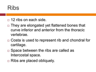 Biomechanics of Thorax.pptx