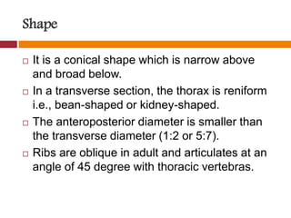 Biomechanics of Thorax.pptx