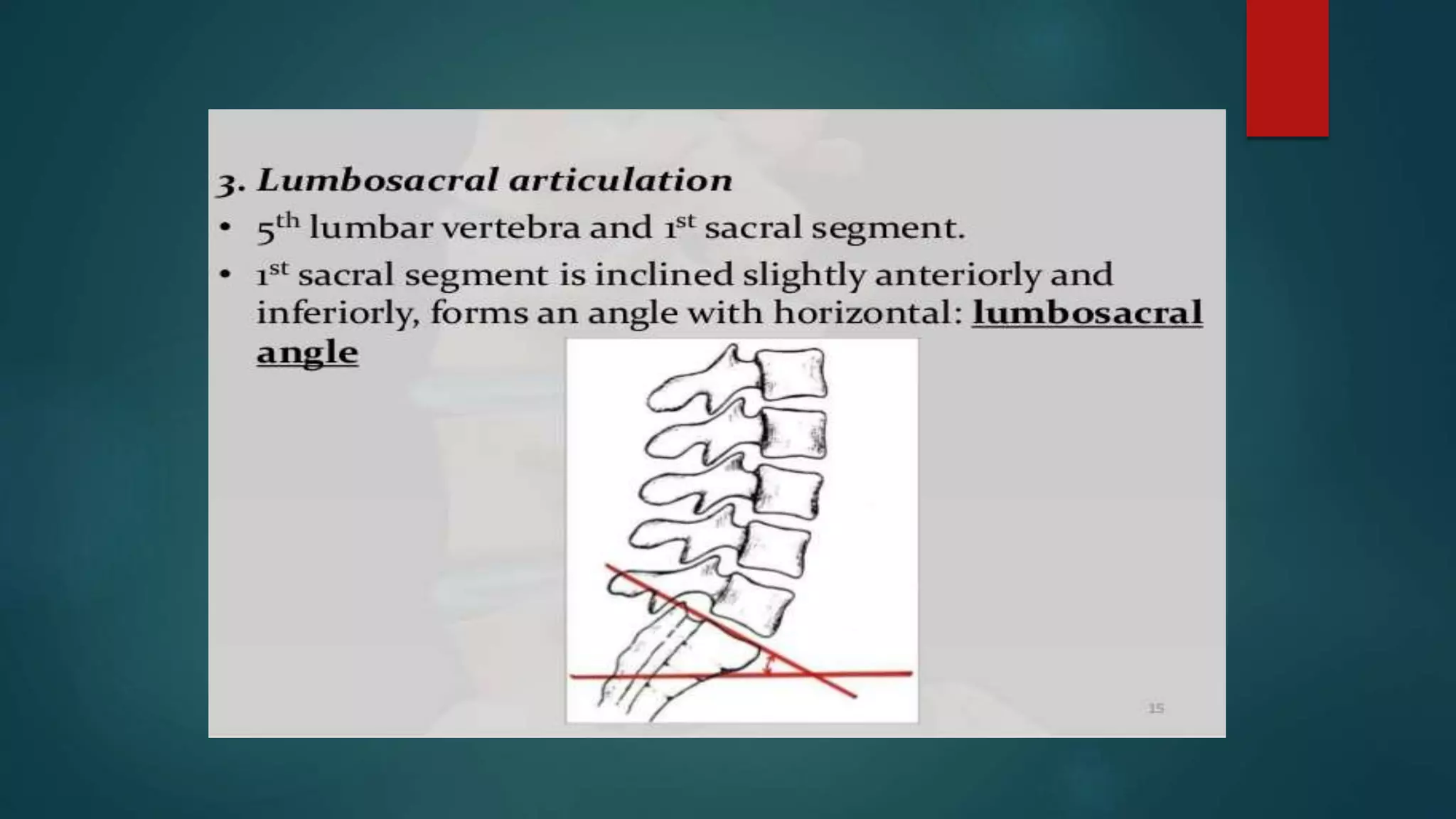 Biomechanics of thorax & lumbar.pptx