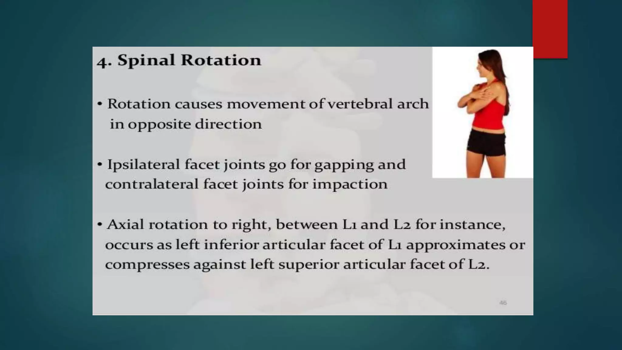 Biomechanics of thorax & lumbar.pptx