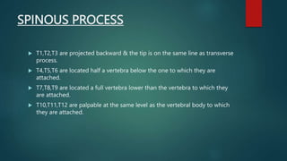 Biomechanics of thorax & lumbar.pptx