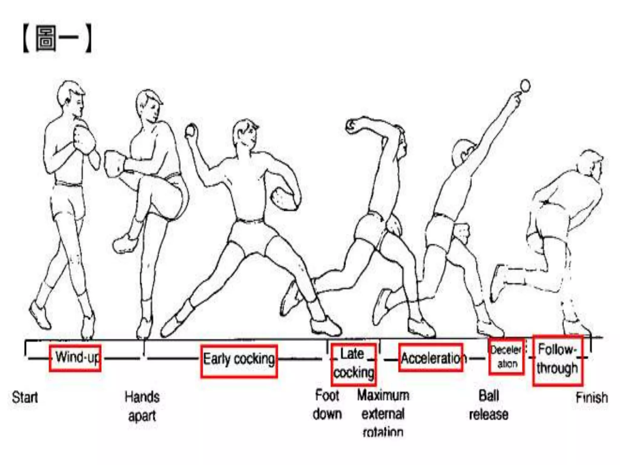 Biomechanics of Throwing | PPTX