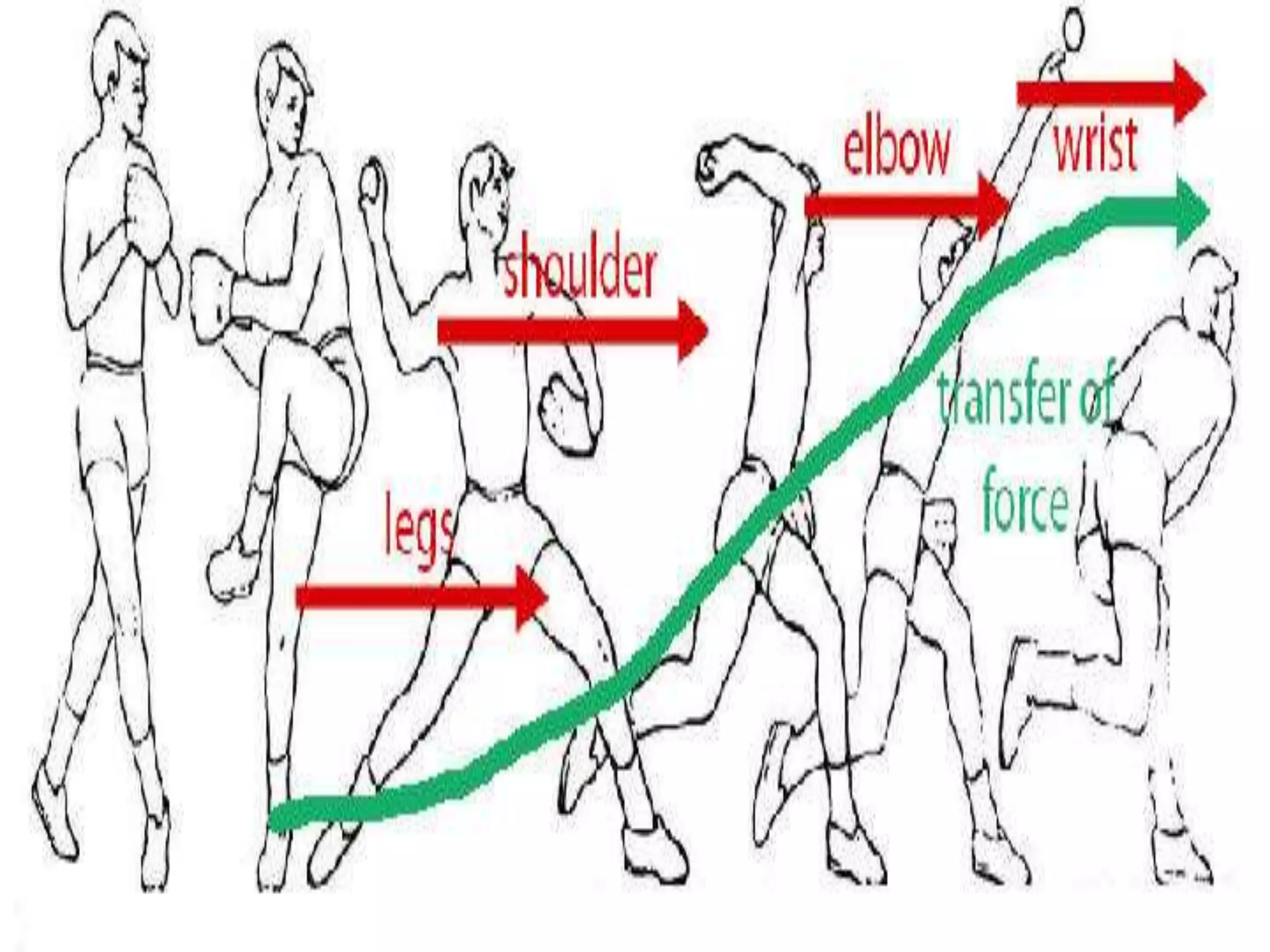 Biomechanics of Throwing | PPTX