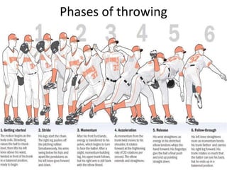 Phases Throwing Baseball