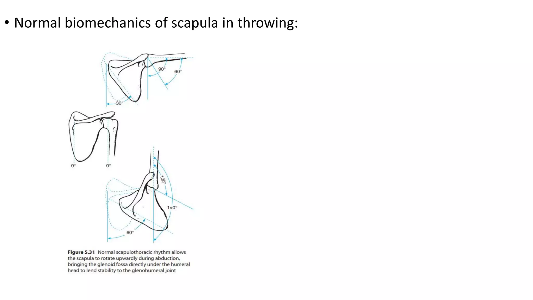 Biomechanics of throwing | PPTX