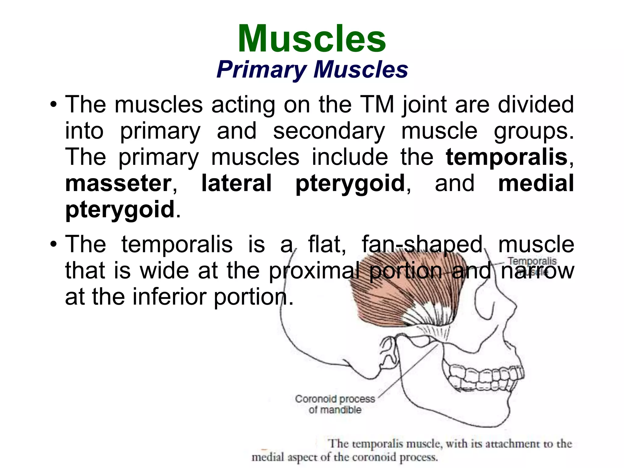 Biomechanics of Temporomandibular Joint | PPTX