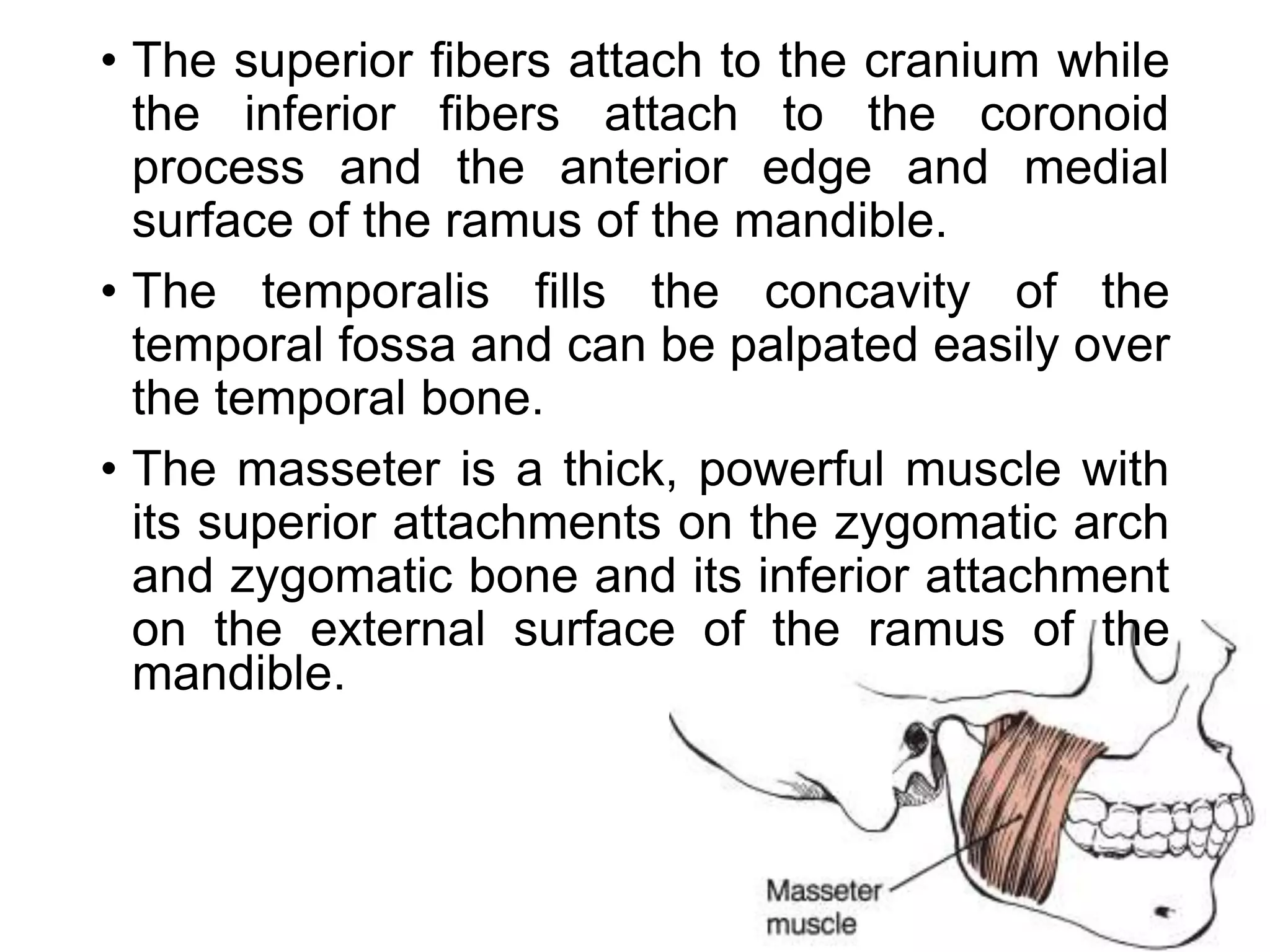 Biomechanics of Temporomandibular Joint | PPTX