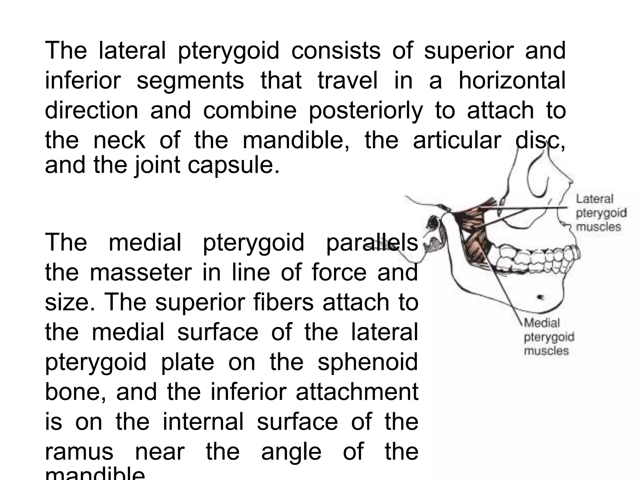 Biomechanics of Temporomandibular Joint | PPTX