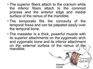 Biomechanics of Temporomandibular Joint | PPTX
