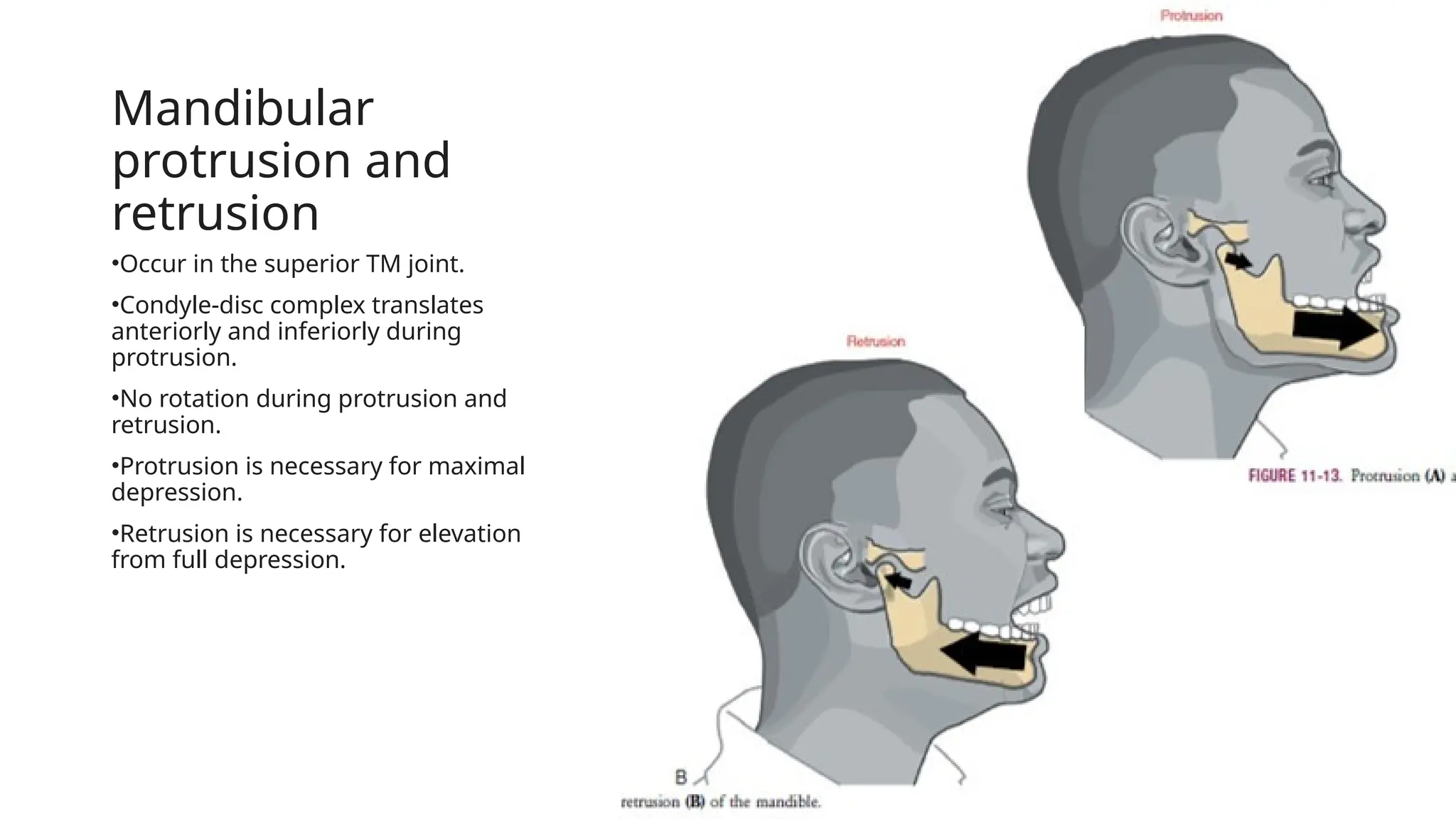 Biomechanics of TMJ.pptx temparomandibular joint | PPTX