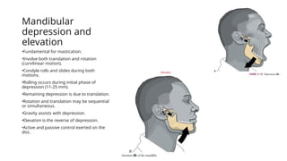 Biomechanics of TMJ.pptx temparomandibular joint | PPTX
