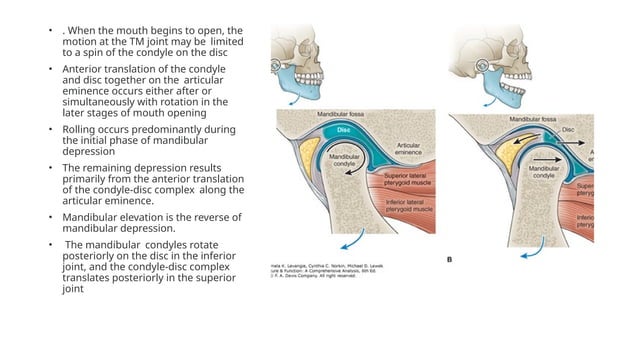Biomechanics of TMJ.pptx temparomandibular joint | PPTX