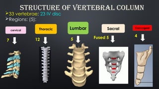 Biomechanics of vertebral column and spine .pptx