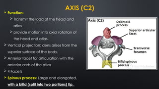 Biomechanics of vertebral column and spine .pptx
