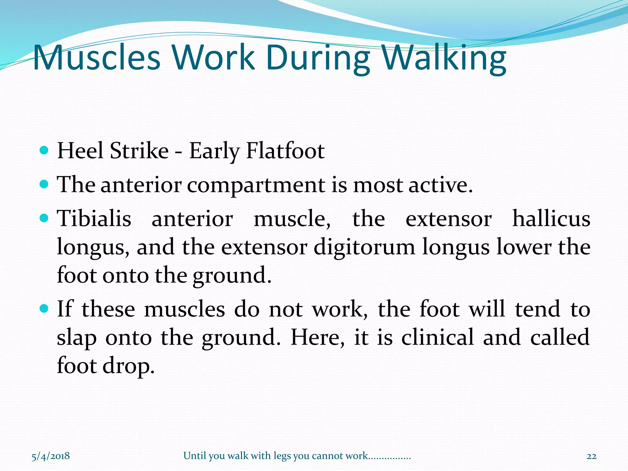 Biomechanics of walking | PPTX
