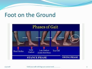 Biomechanics of walking | PPTX