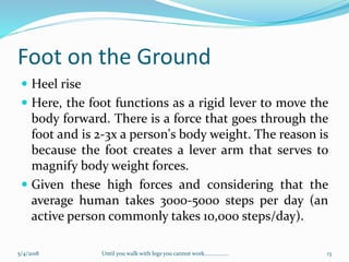 Biomechanics of walking | PPTX