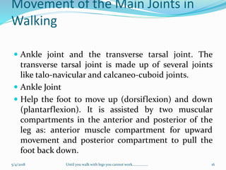 Biomechanics of walking | PPTX