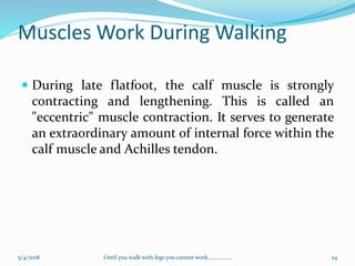 Biomechanics of walking | PPTX