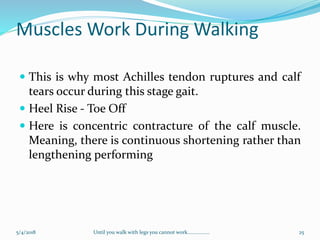 Biomechanics of walking | PPTX