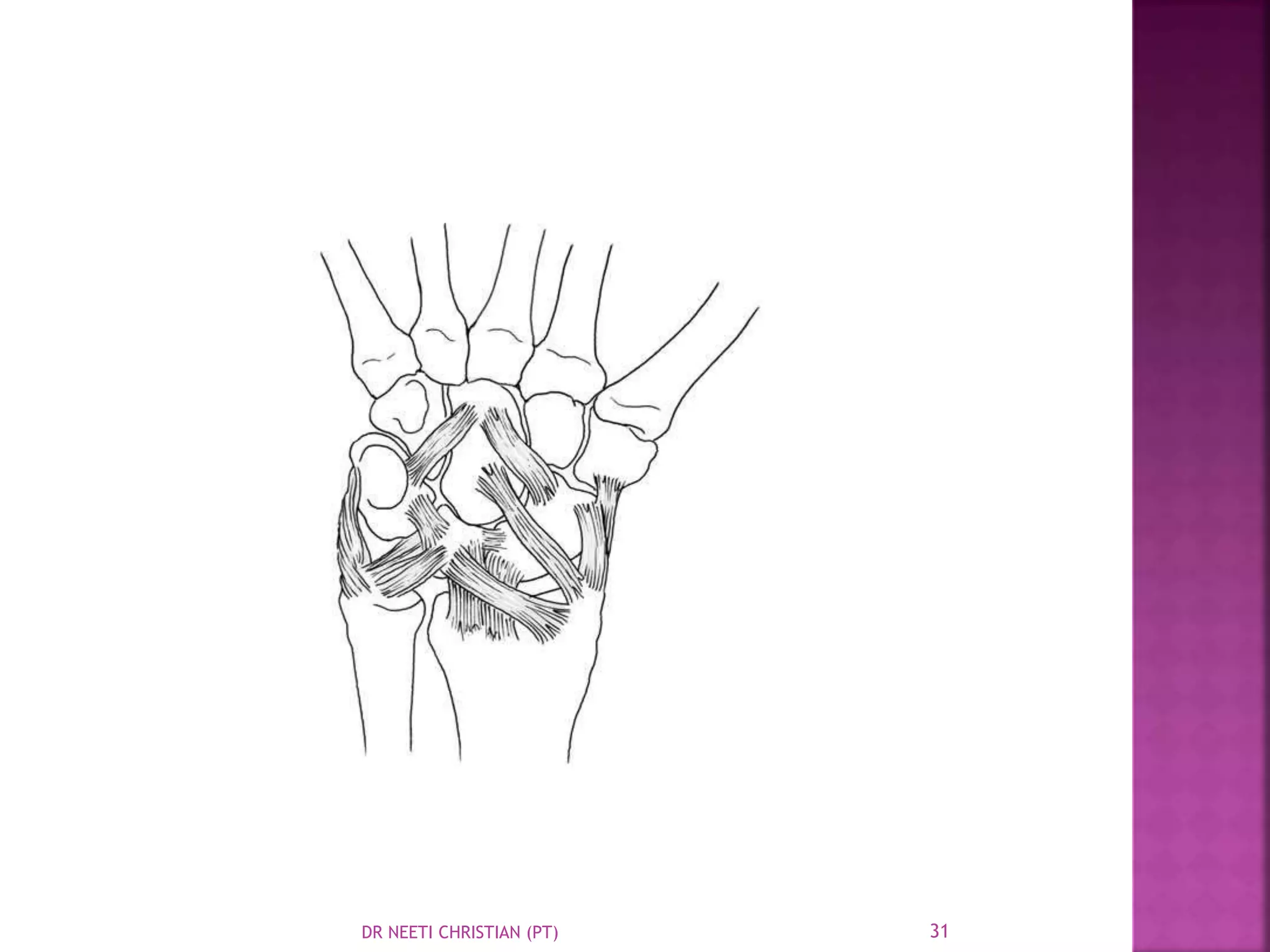 Biomechanics of wrist complex | PPTX
