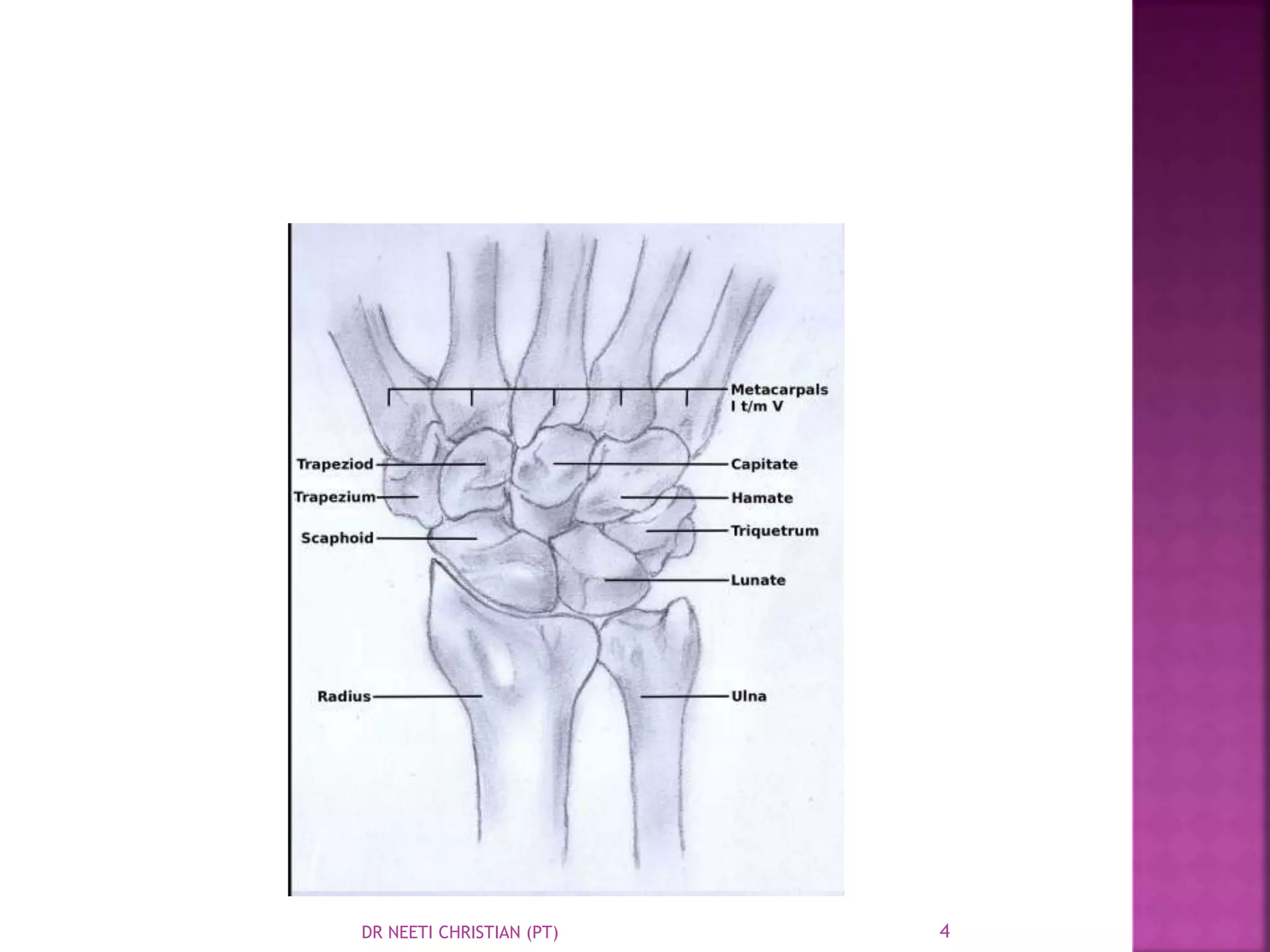 Biomechanics of wrist complex | PPTX