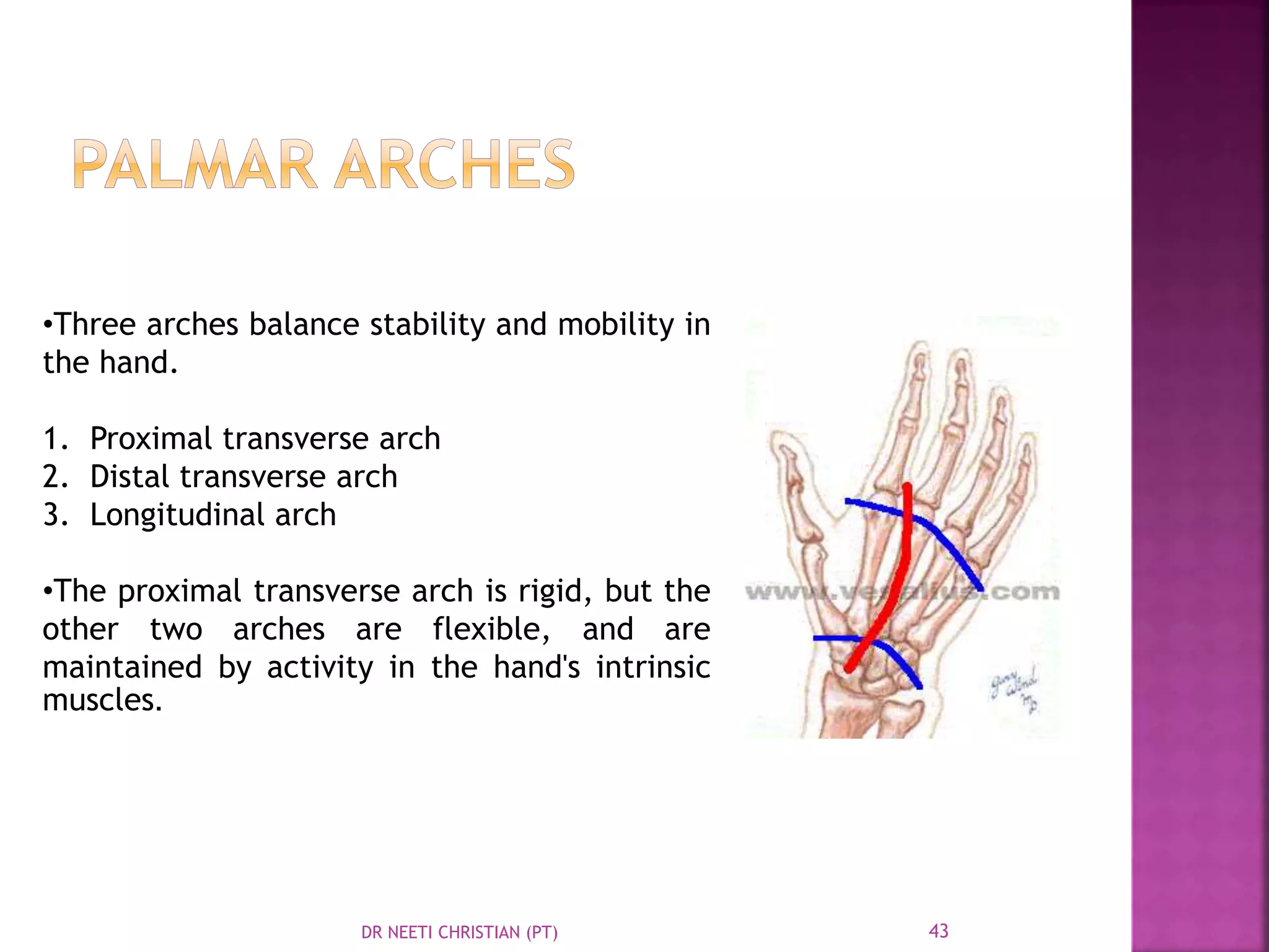 Biomechanics of wrist complex | PPTX
