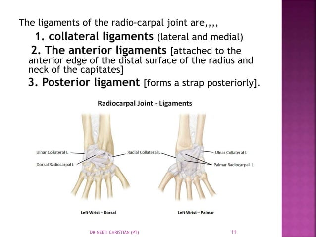 Biomechanics of wrist complex | PPTX