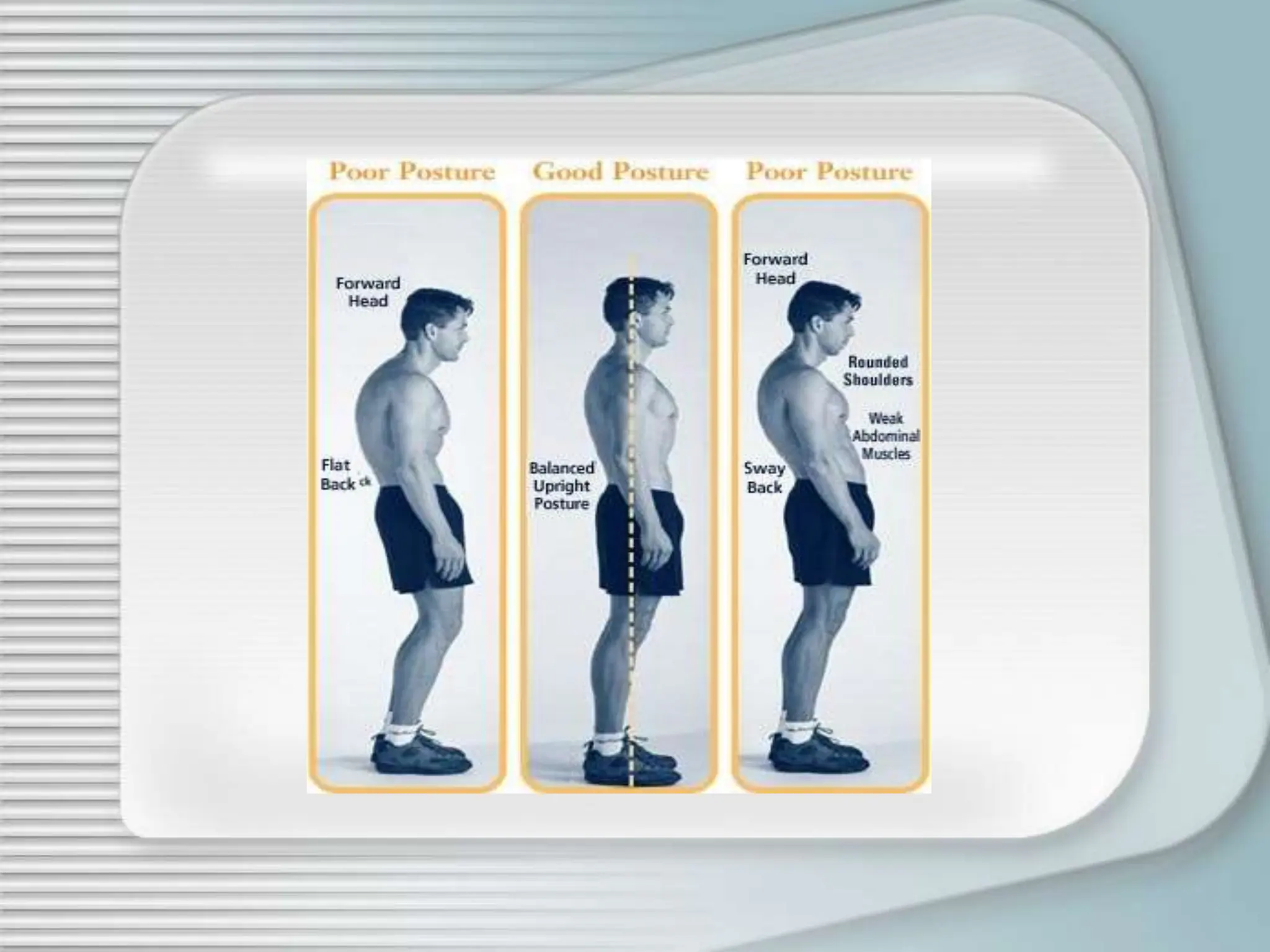 bIOMECHANICS- PDDU-RITU-worlplace-msd.ppt