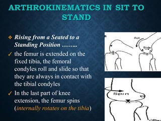 biomechanics ppt [Autosaved].pptx