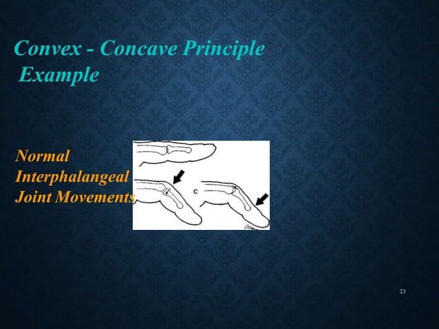 biomechanics ppt [Autosaved].pptx | Bone and Joint Conditions | Diseases and Conditions