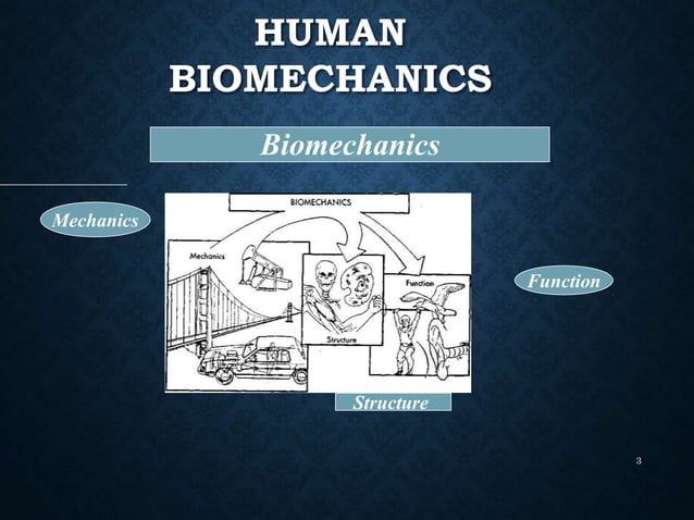 biomechanics ppt [Autosaved].pptx | Bone and Joint Conditions | Diseases and Conditions